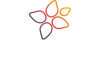 What we do - iZinga Assist